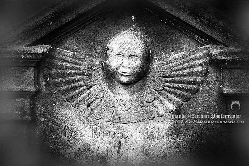 Death Heads | Life Comes Full Circle