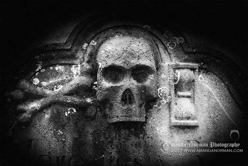 Memento Mori | Life Comes Full Circle