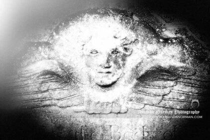 Death Heads | Life Comes Full Circle