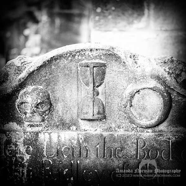 Memento Mori | Life Comes Full Circle