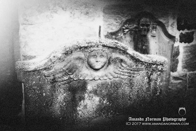 Death Heads | Life Comes Full Circle